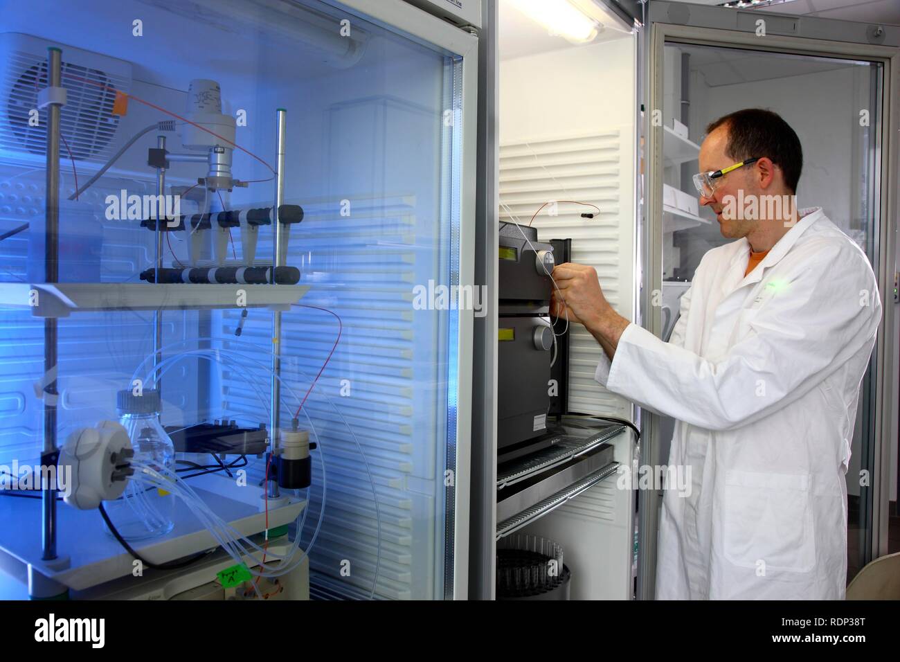 Biotechnology laboratory, a scientist at the tubing of the FPLC-system ...
