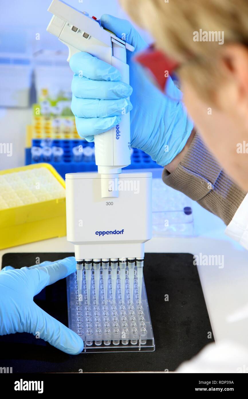 Laboratory, a scientist is transferring protein samples with a ...