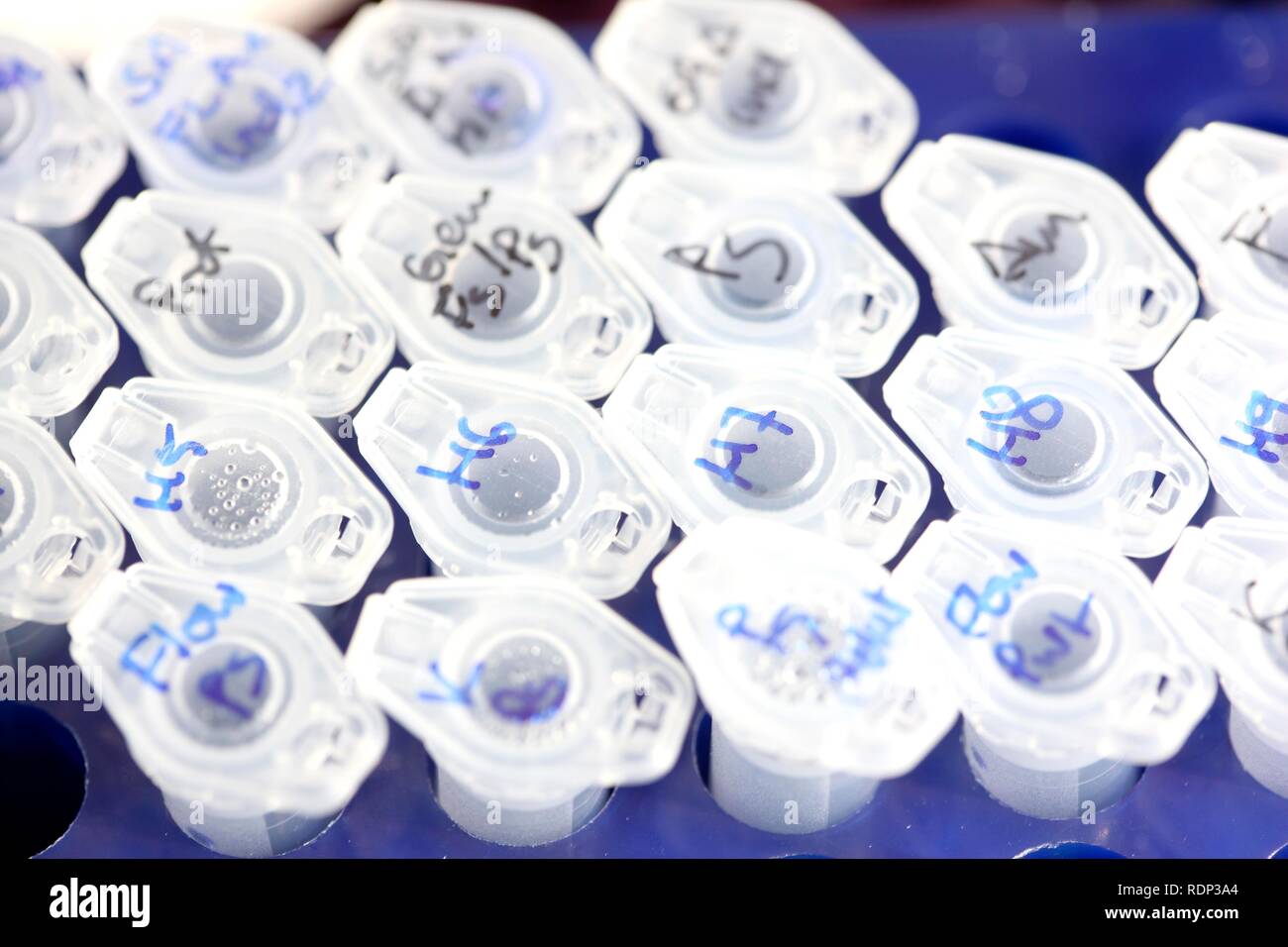 Eppendorf tubes hi-res stock photography and images - Alamy