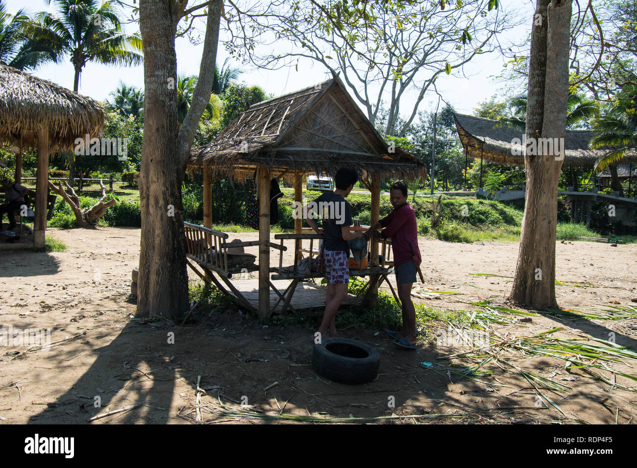 Chiang Mai animal sanctuary Thailand staff cleaning elephant tyre ...