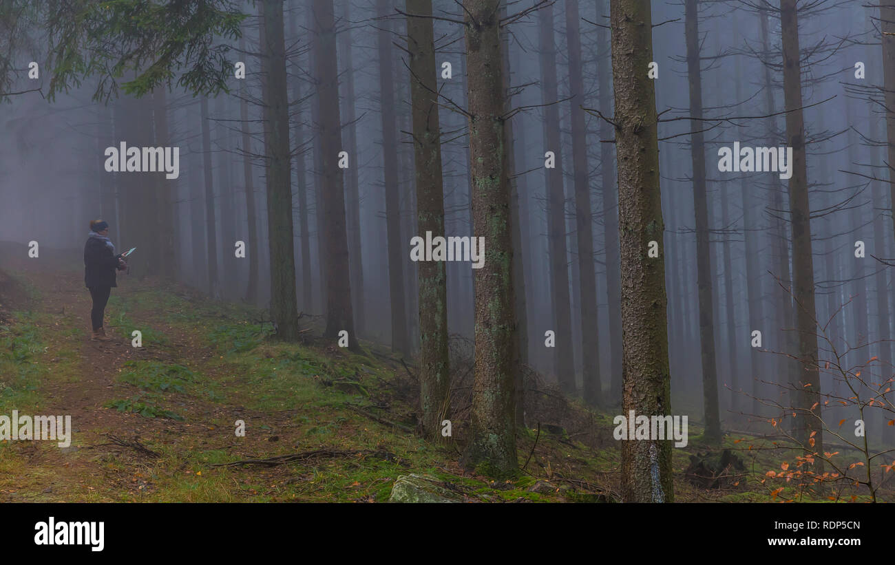 Ardennes forest map hi-res stock photography and images - Alamy