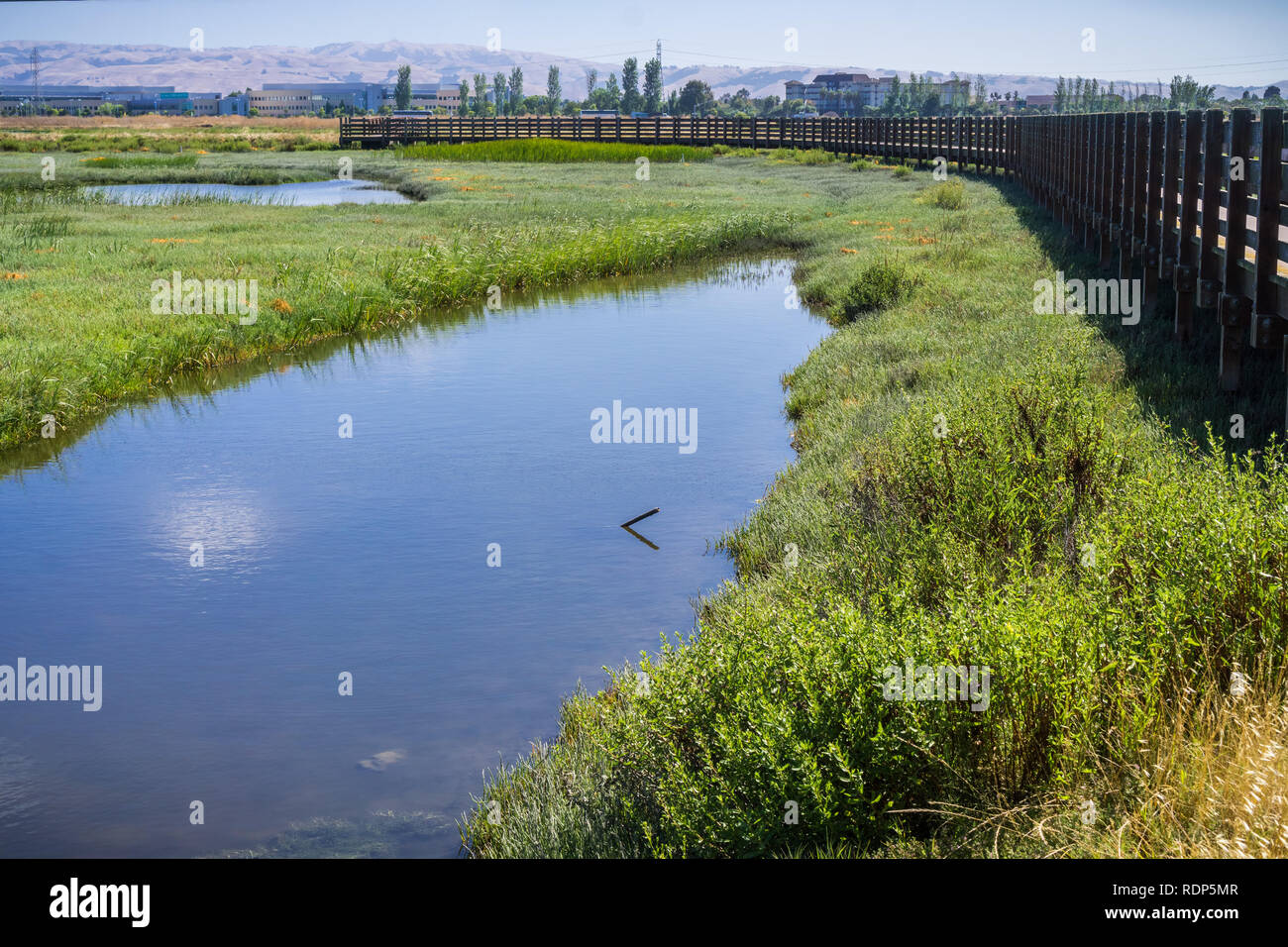 Wooden bridge in Don Edwards wildlife refuge, Fremont, San Francisco ...