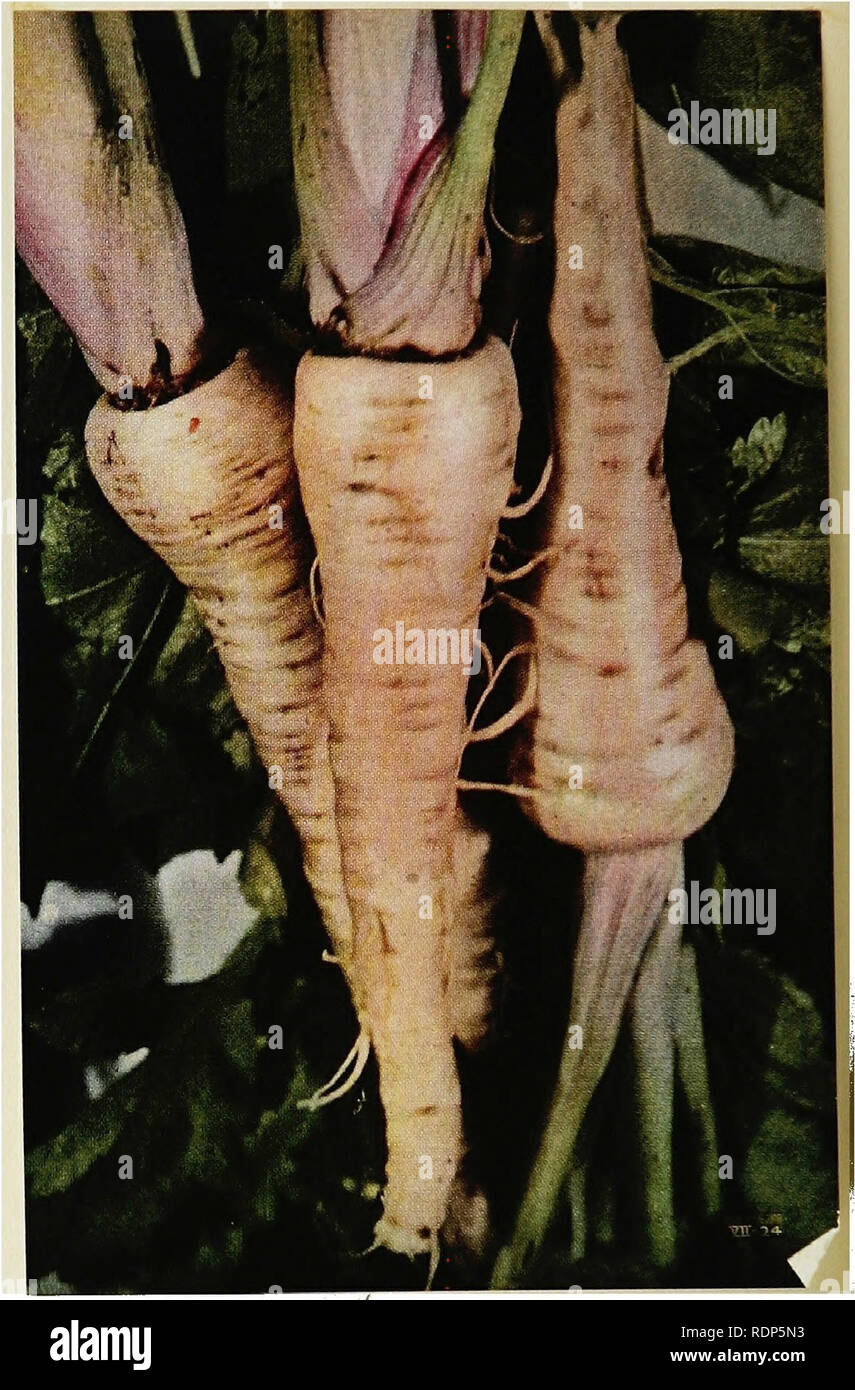 . Luther Burbank, his methods and discoveries and their practical ...