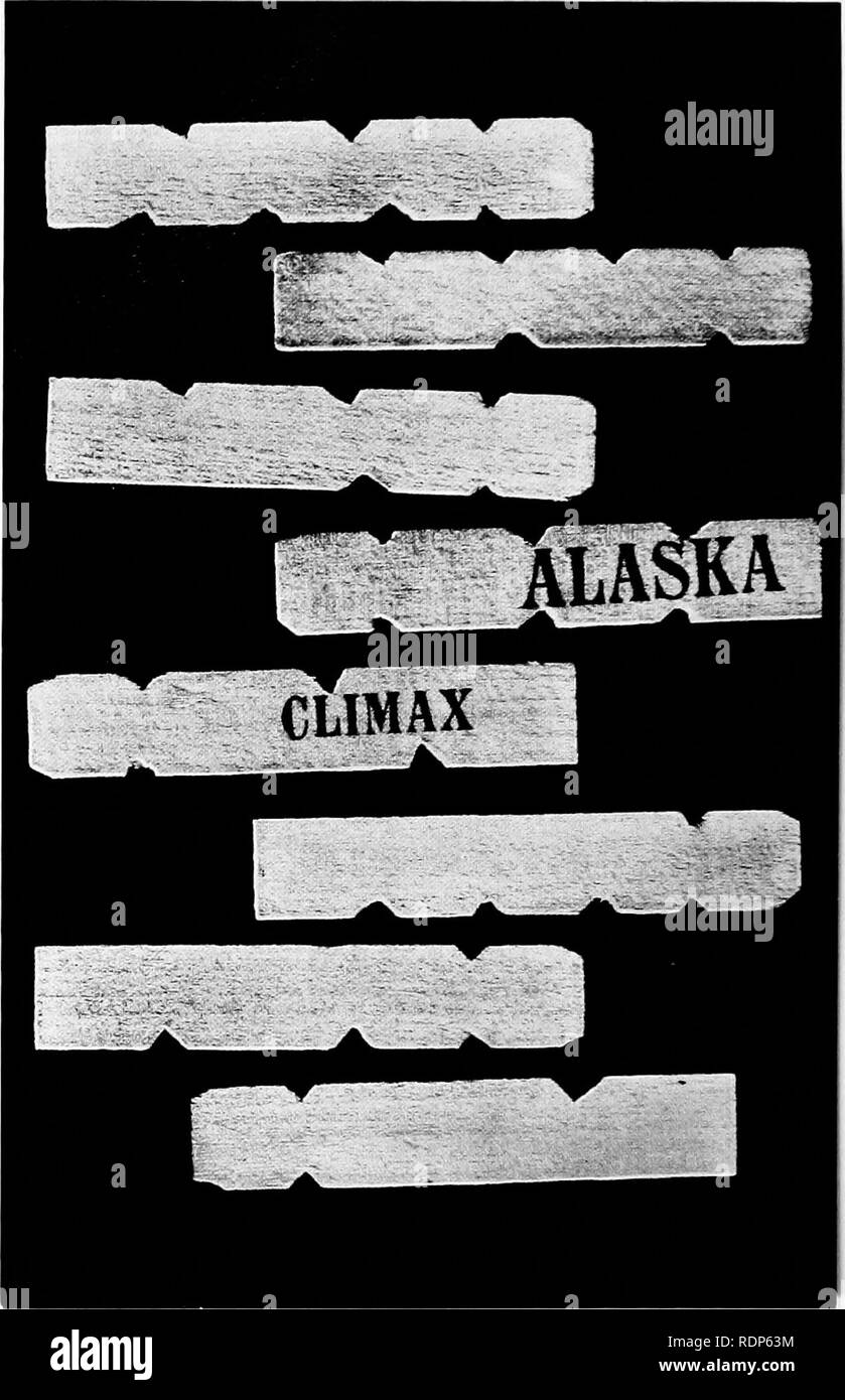 Three notches Black and White Stock Photos & Images - Alamy