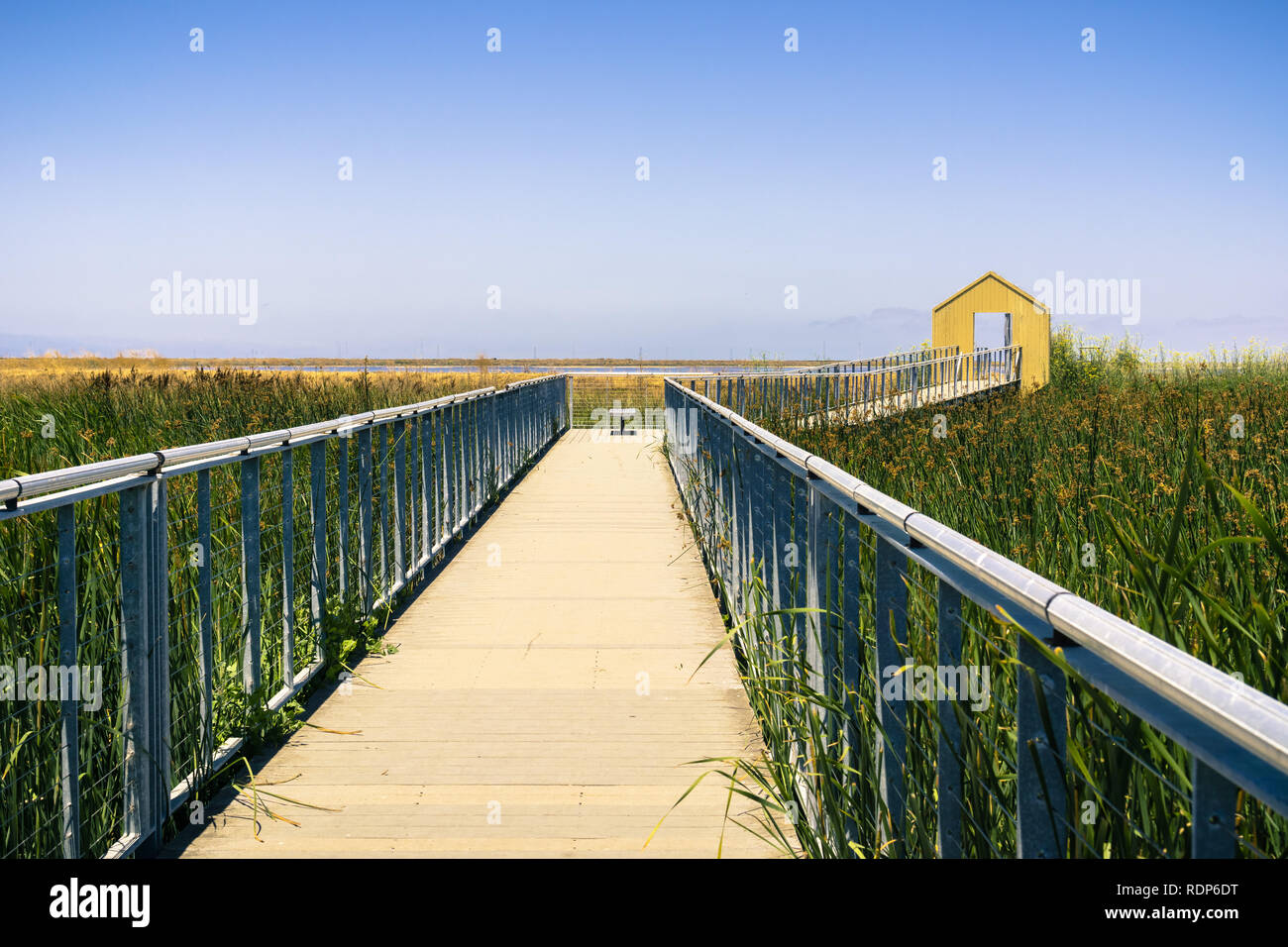 Walkway through the marsh at Alviso Marina County Park, San Jose ...