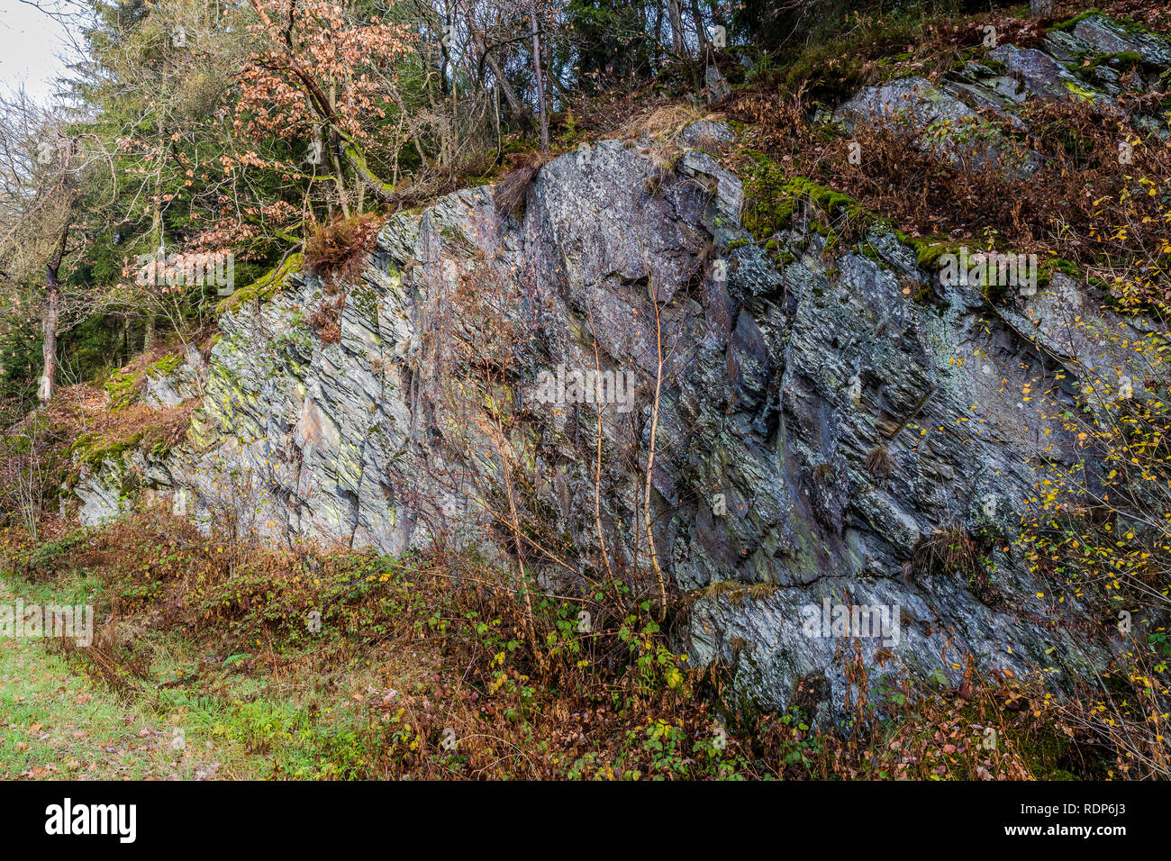 beautiful image of a large slate rock in the woods on a winter day in ...