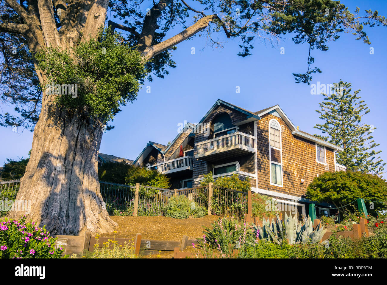 Residential neighborhood, Santa Cruz, California Stock Photo - Alamy