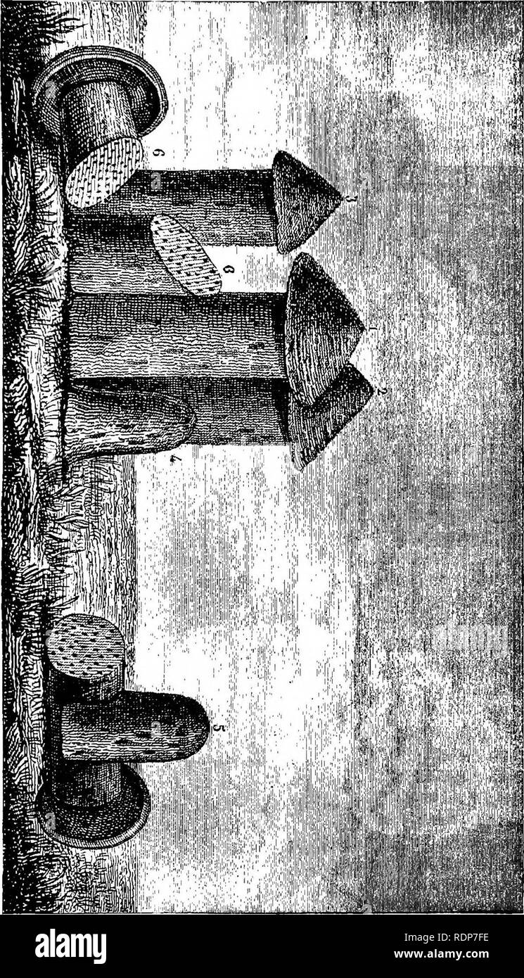 Turret nests Black and White Stock Photos & Images - Alamy