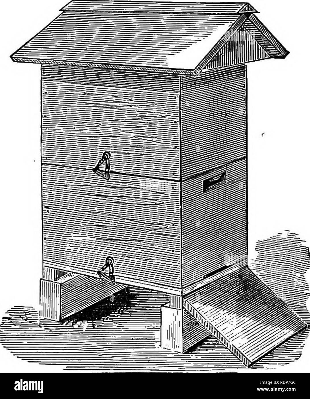 . Quinby's new bee-keeping. The mysteries of bee-keeping explained ...
