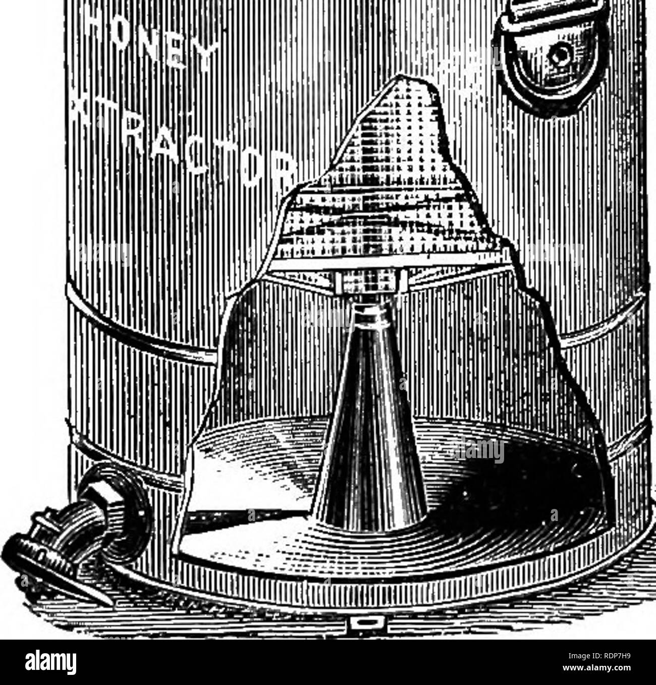 Bees extracting honey Black and White Stock Photos & Images - Alamy