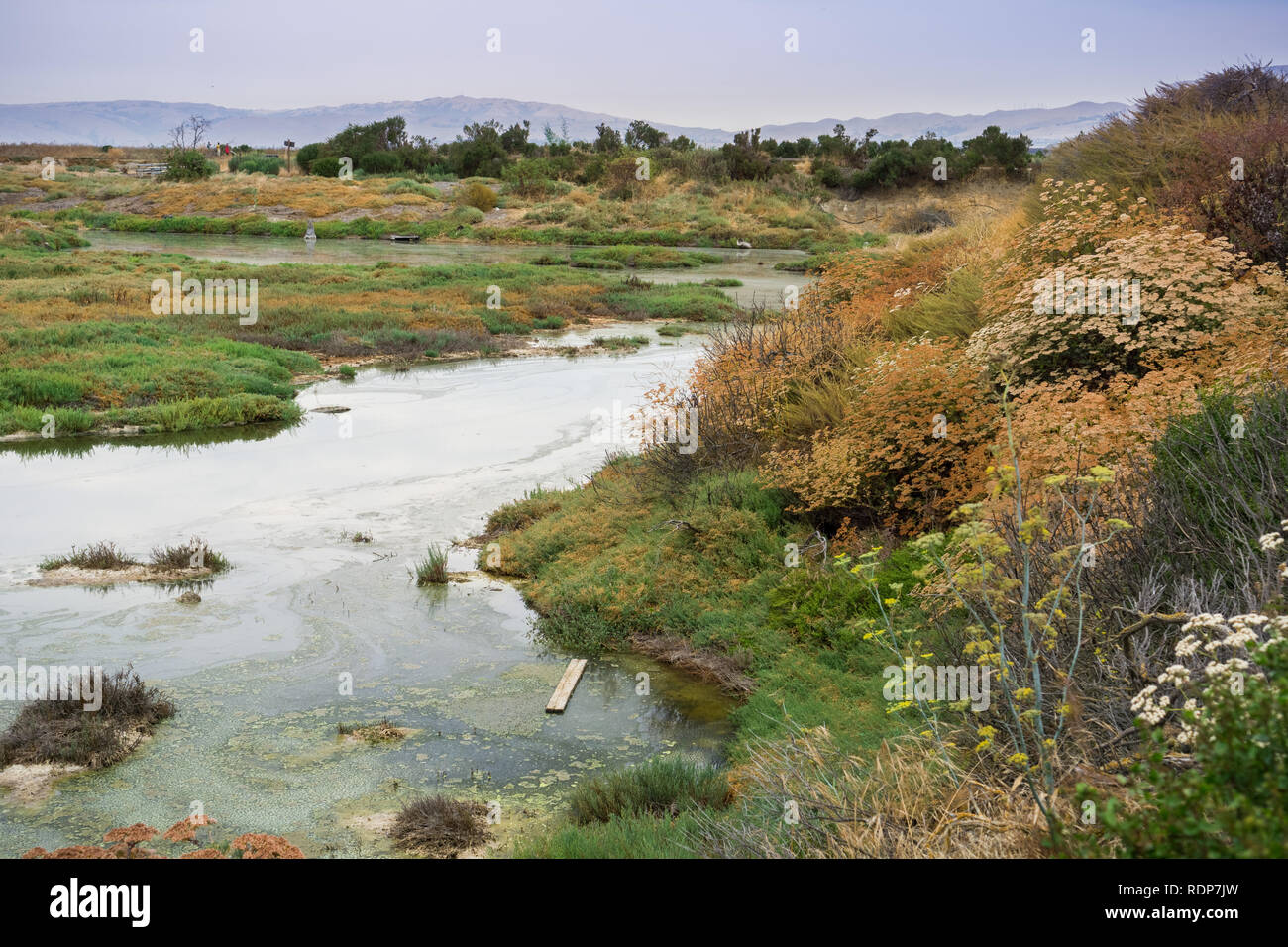 Alviso marsh hi-res stock photography and images - Alamy