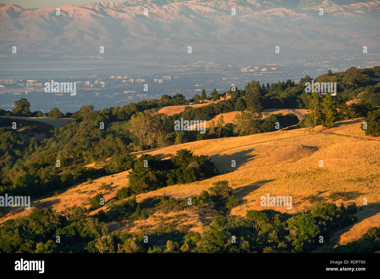 Golden hills in the sunset light; Sunnyvale, San Francisco bay area in ...