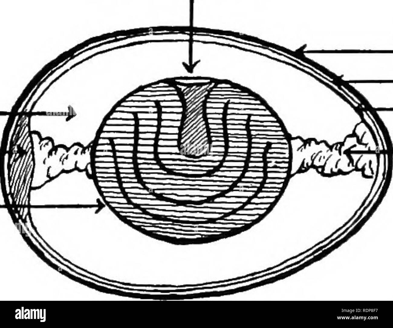 . Practical poultry production . Poultry. CHAPTER IV NATURAL AND ...