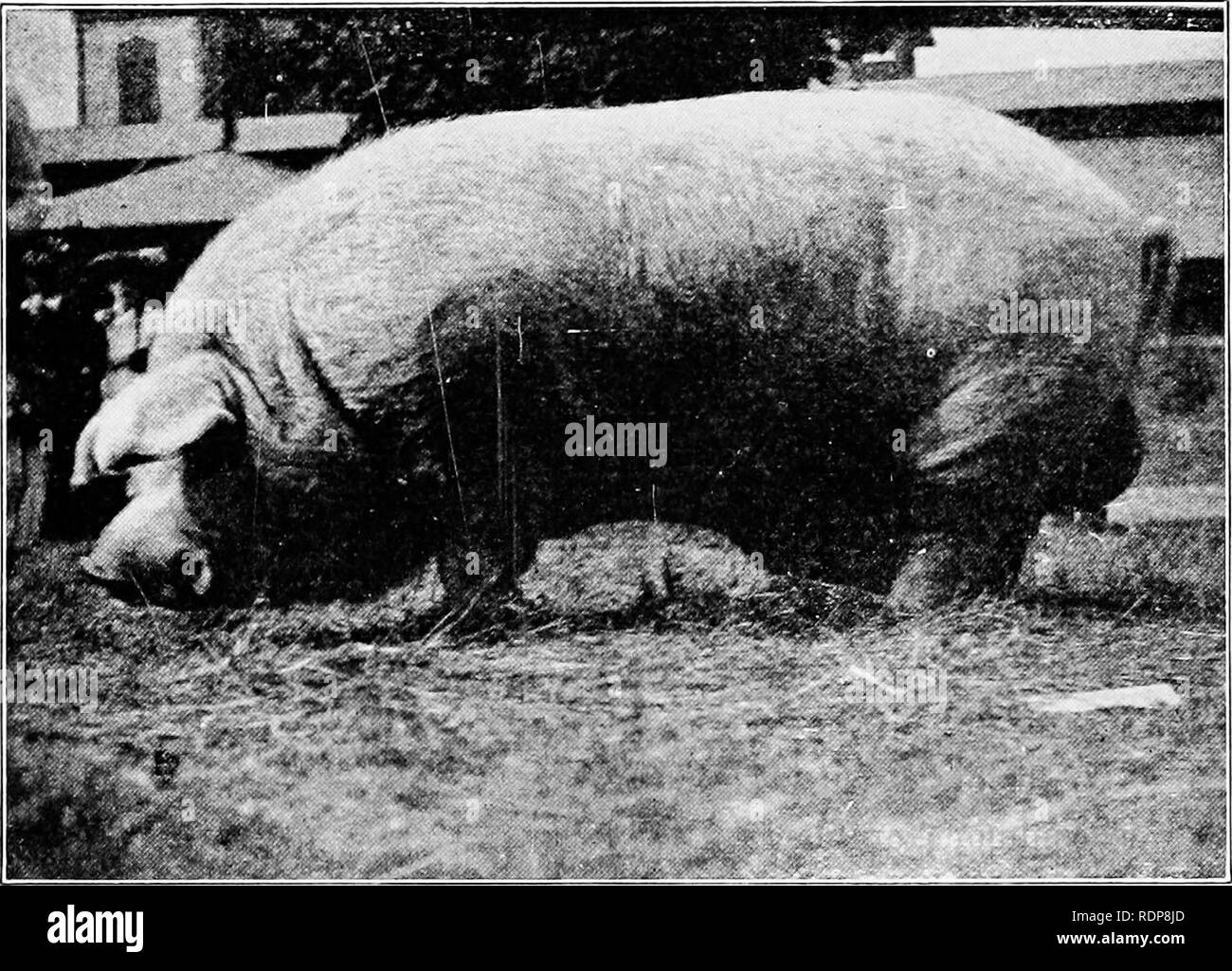 Captain chester Black and White Stock Photos & Images - Alamy
