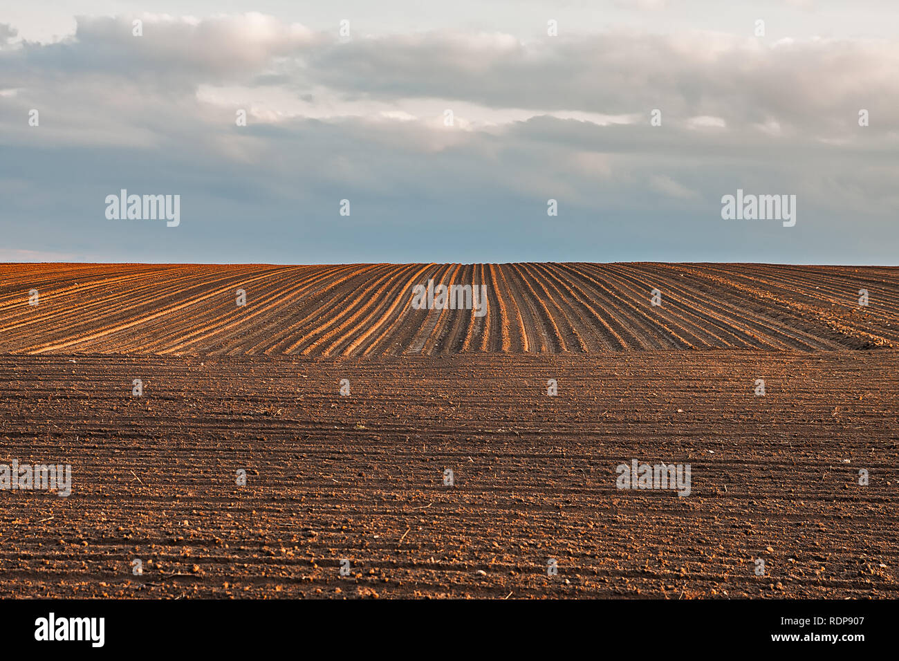 Plow Horizontal High Resolution Stock Photography and Images - Alamy