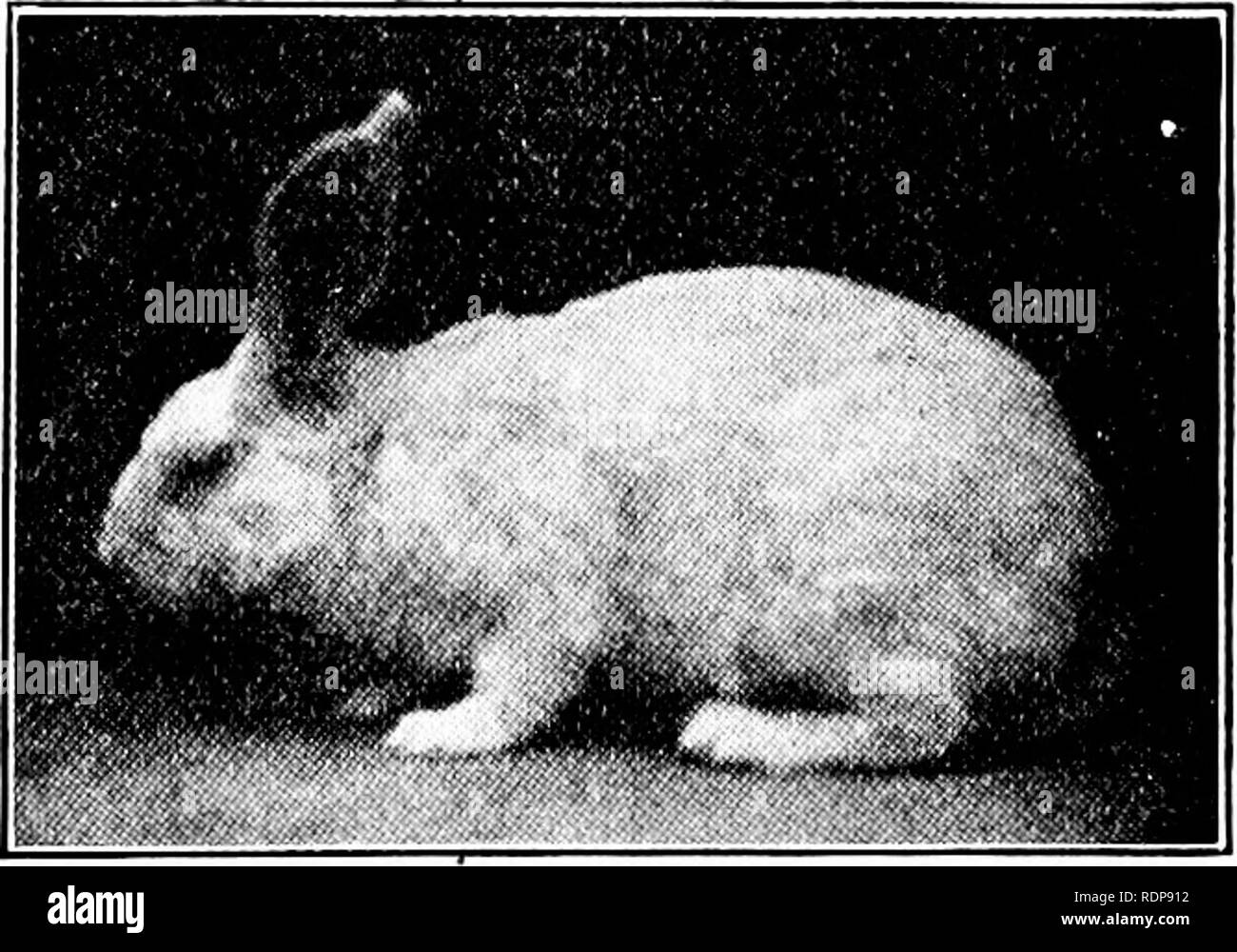 White coloration stands Black and White Stock Photos & Images - Alamy