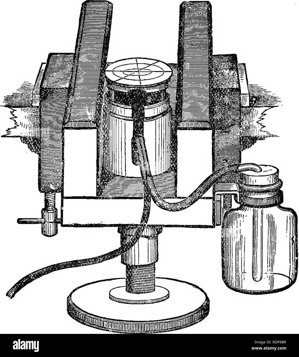 Microtome section Black and White Stock Photos & Images - Alamy