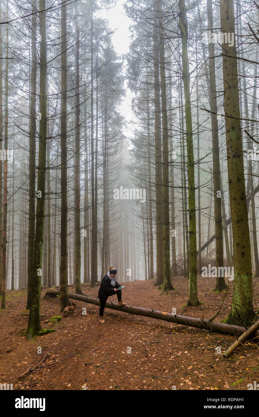 Ardennes forest map hi-res stock photography and images - Alamy