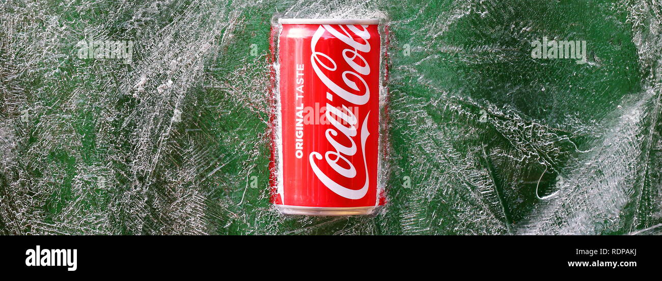 AMELAN, DUTCH - 1 OCT 2018.: Bald Eagle, US National Emblem. The bald ...