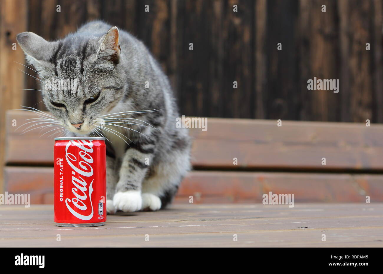 AMELAND DUTCH - 22 JULY 2017.: COCA COLA on wooden background. Coca Cola Company and cat ...