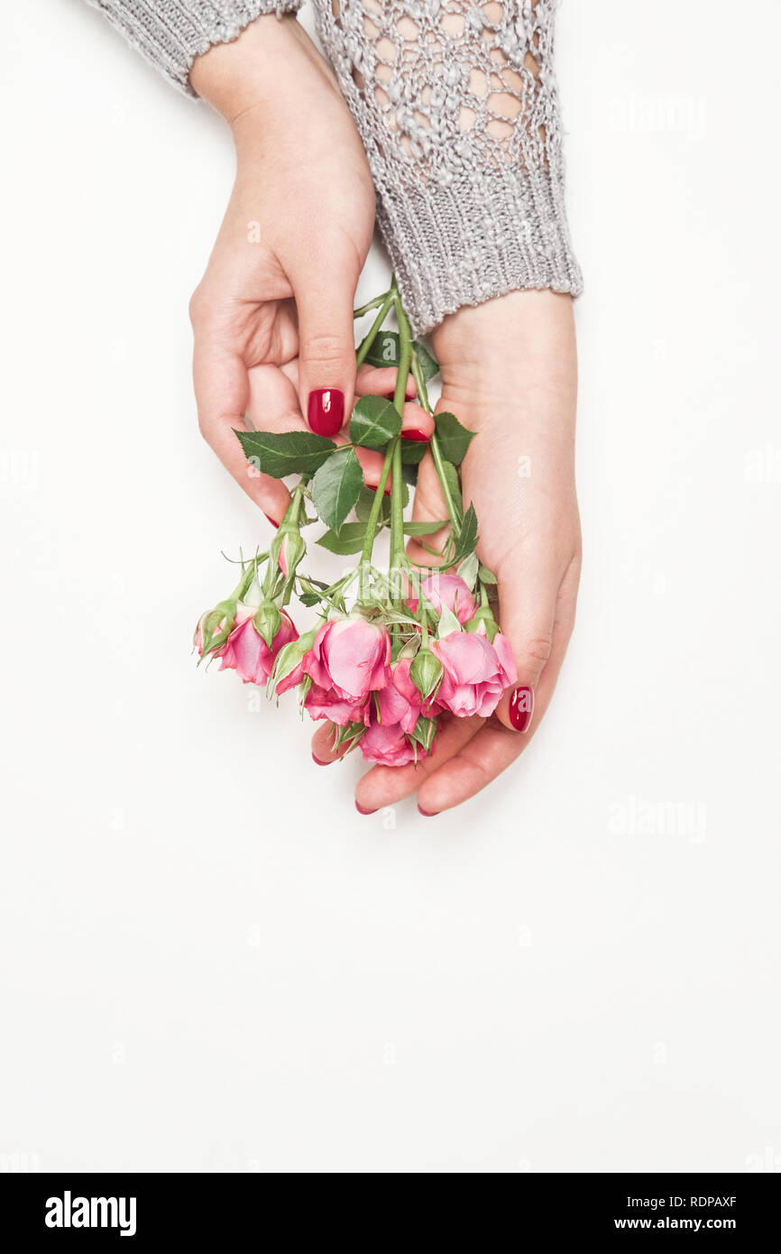 flowers roses in hands of girl, top view, top view, little pink roses ...