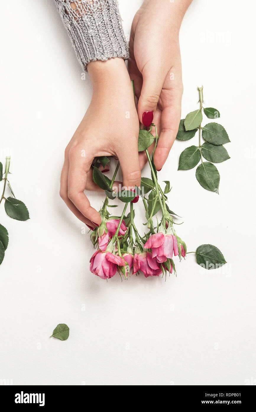 flowers roses in hands of girl, top view, top view, little pink roses ...