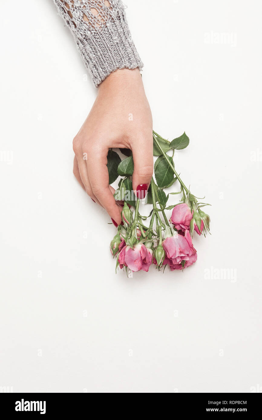 flowers roses in hands of girl, top view, top view, little pink roses ...