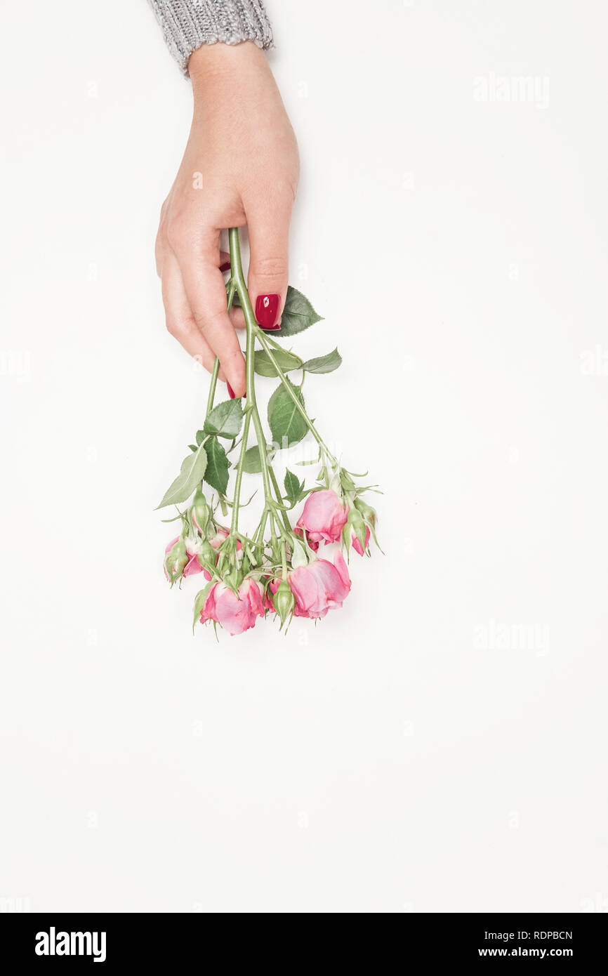 flowers roses in hands of girl, top view, top view, little pink roses ...