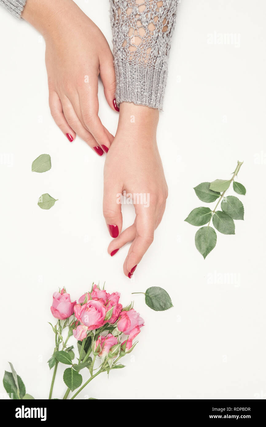 flowers roses in hands of girl, top view, top view, little pink roses ...