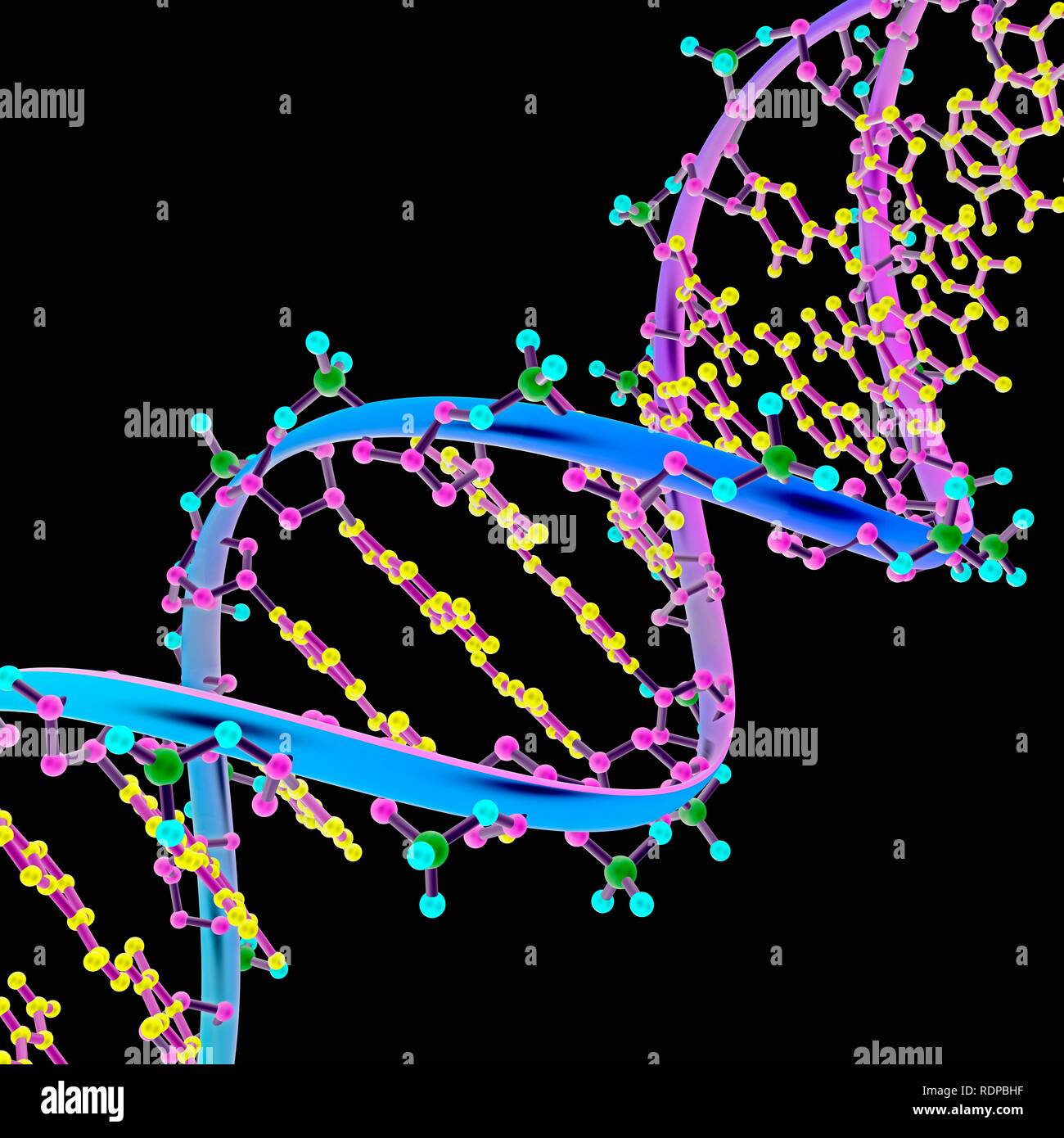 An illustration of a DNA molecular model Stock Photo - Alamy