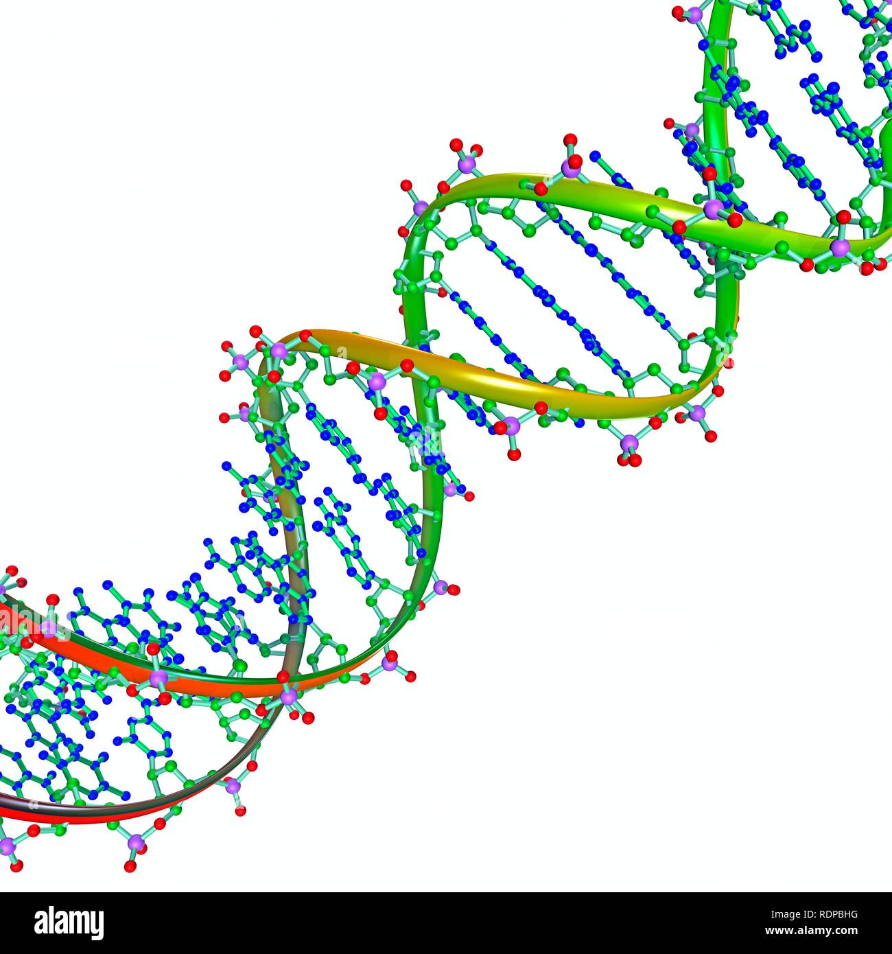 An illustration of a DNA molecular model Stock Photo - Alamy