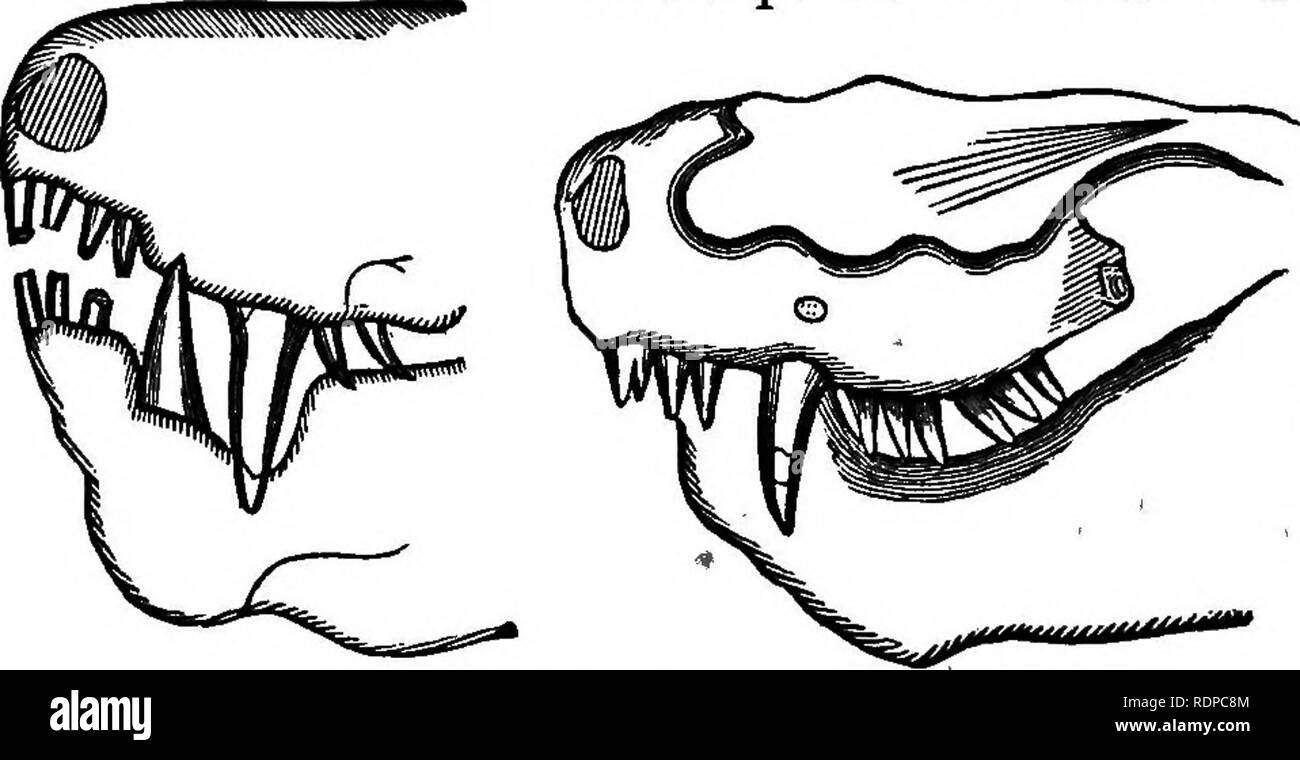 Clawed monsters hi-res stock photography and images - Alamy