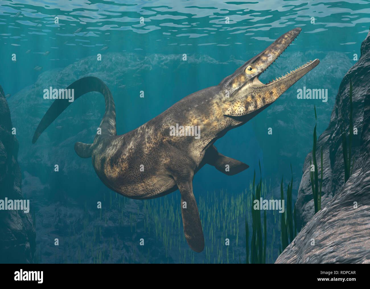 Mosasaurus hi-res stock photography and images - Alamy