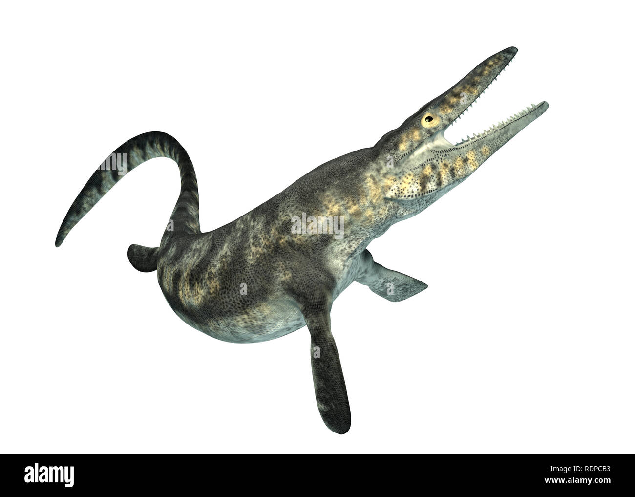 Mosasaurus hi-res stock photography and images - Alamy