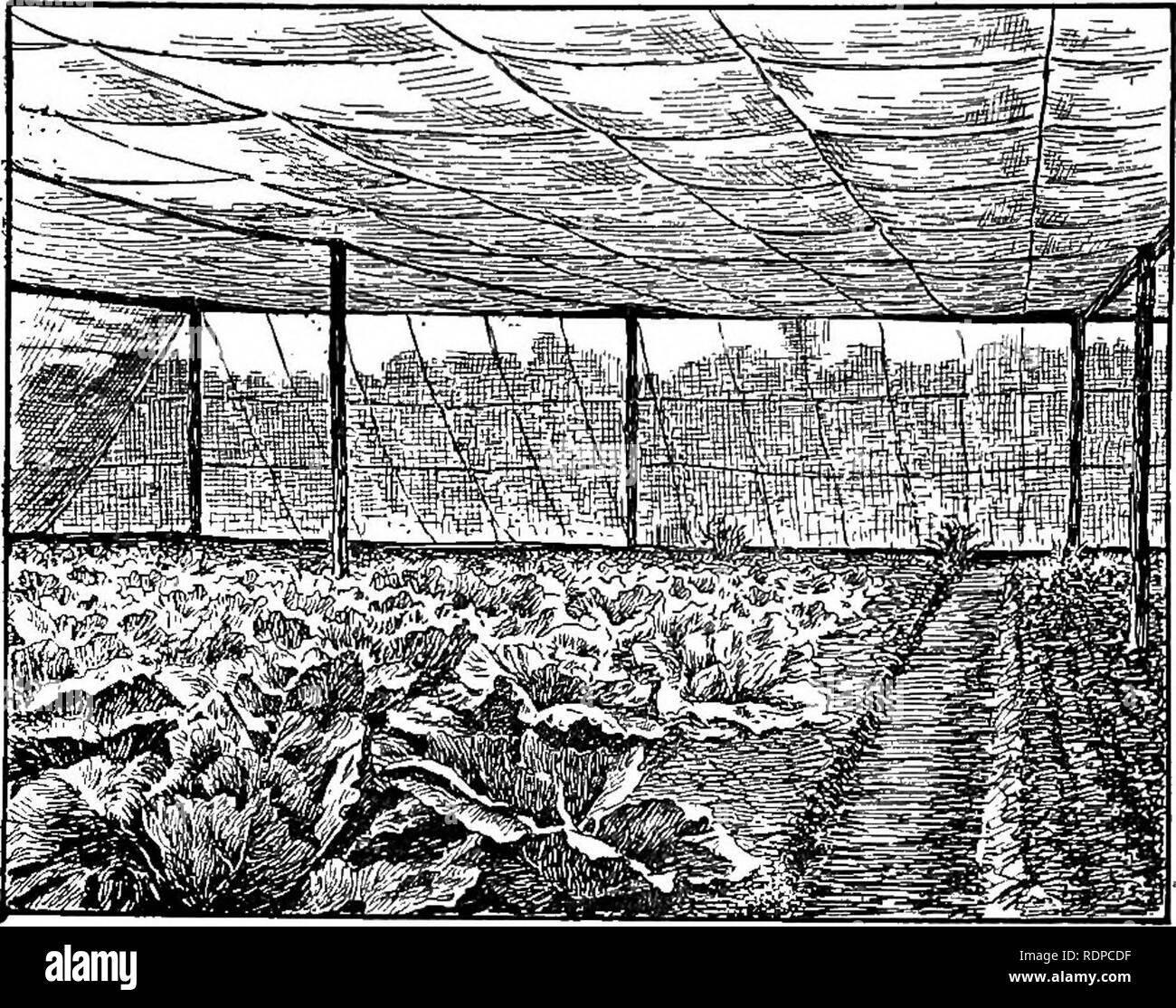 Complex shading Black and White Stock Photos & Images - Alamy