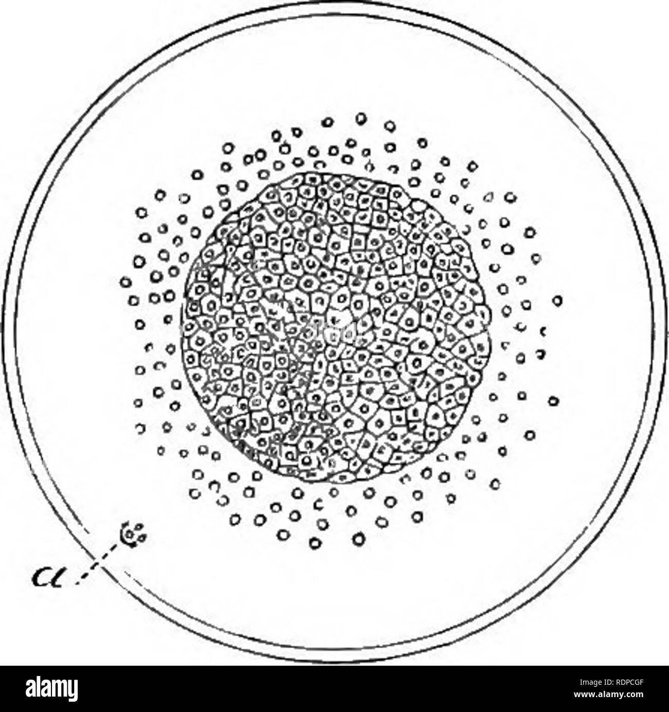 Lenticular histories hi-res stock photography and images - Alamy