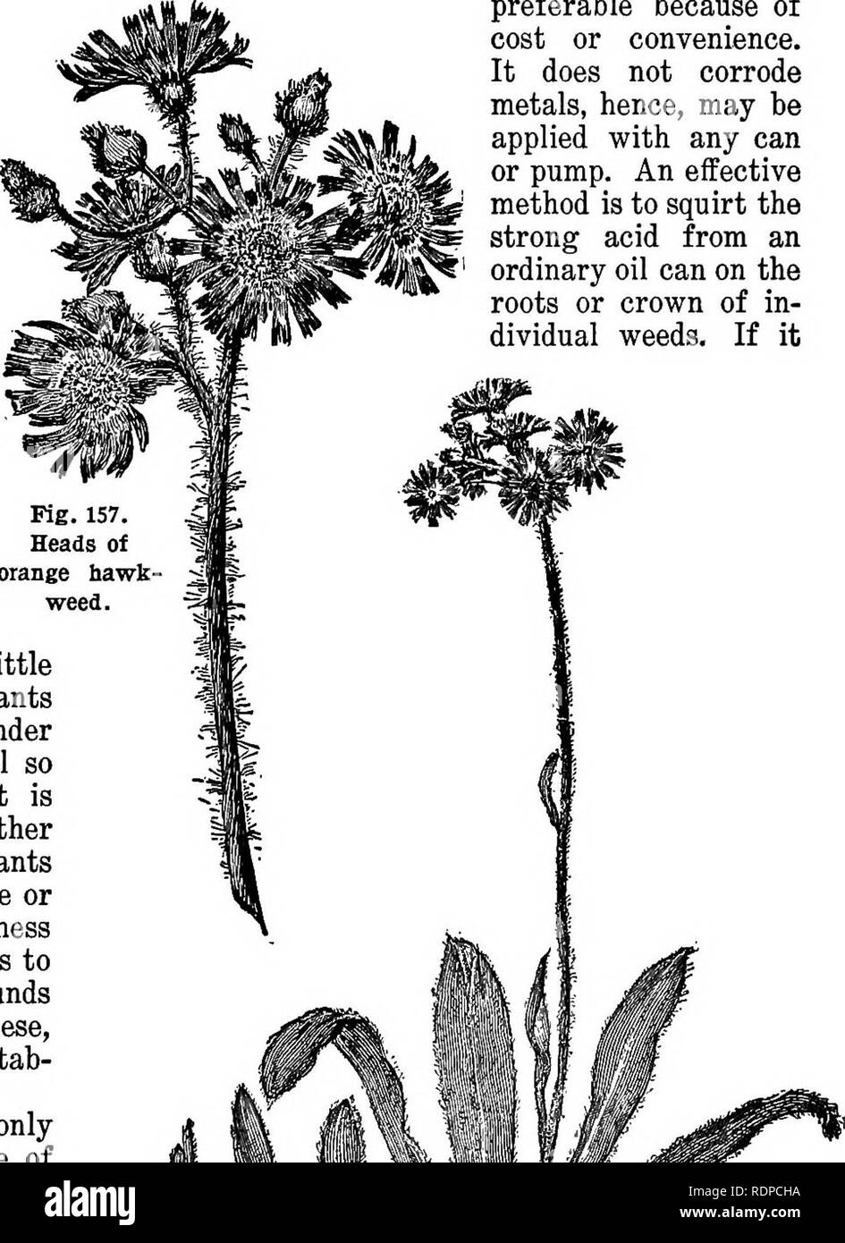 Combating weeds hi-res stock photography and images - Alamy