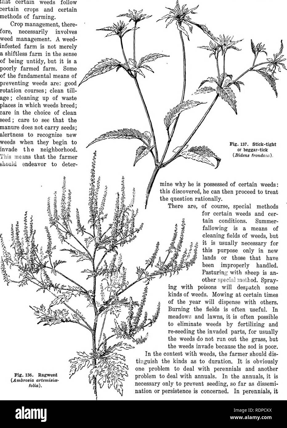 Weed infested Black and White Stock Photos & Images - Alamy