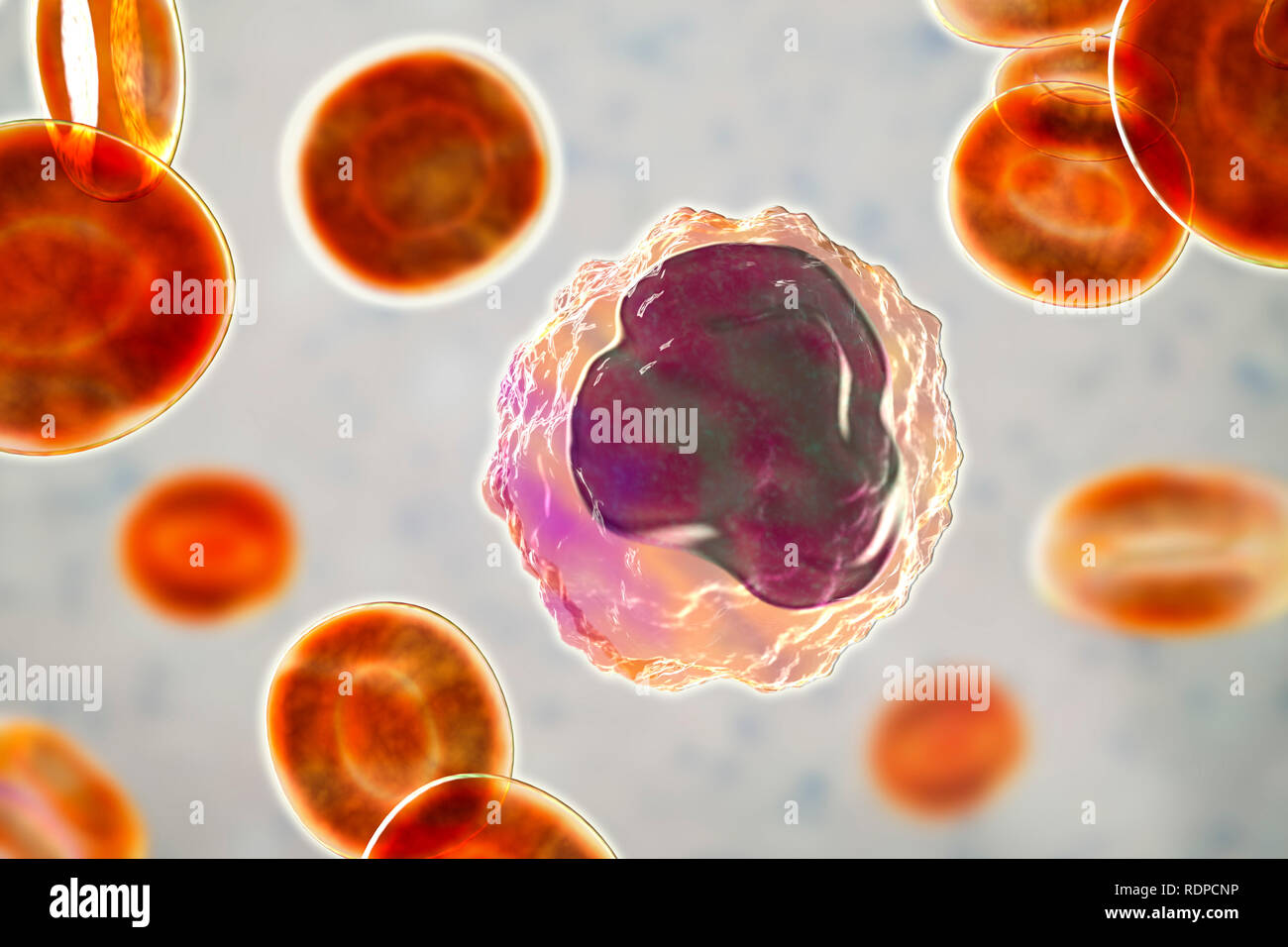 Monocyte hi-res stock photography and images - Alamy
