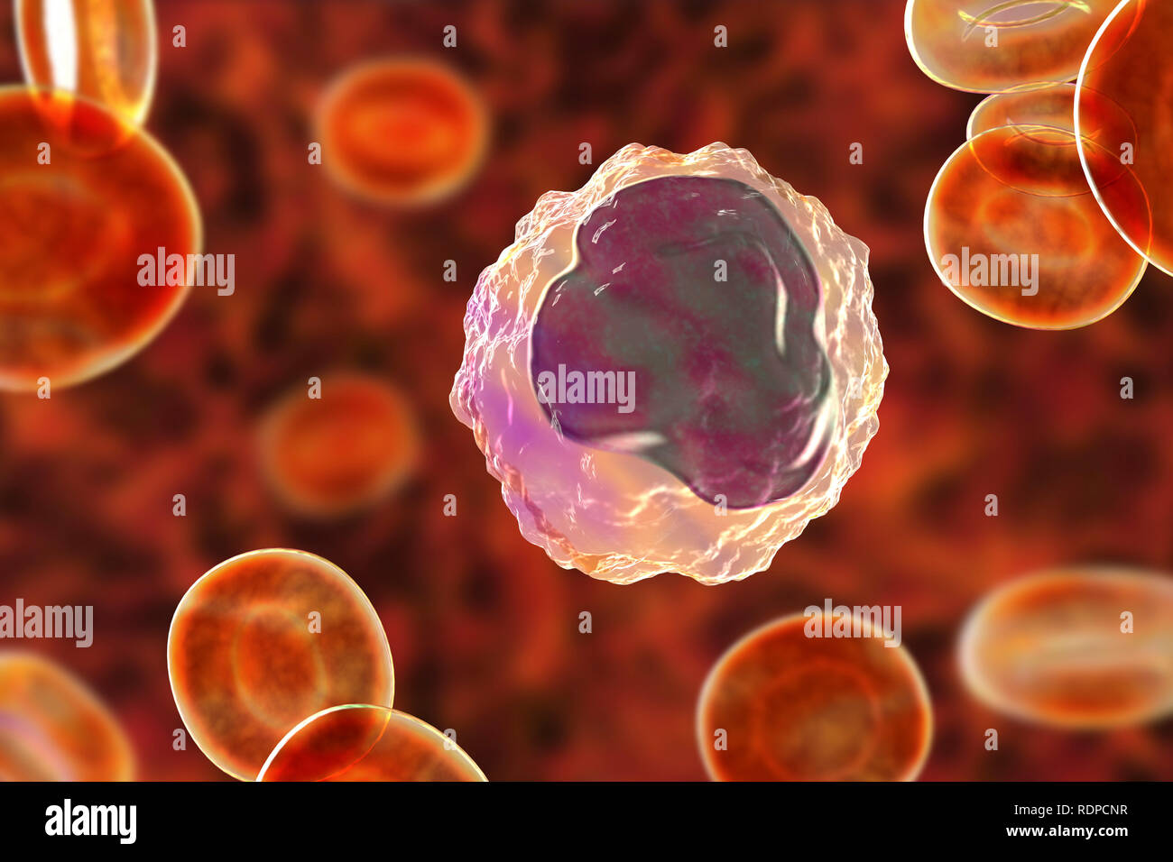 Monocyte hi-res stock photography and images - Alamy