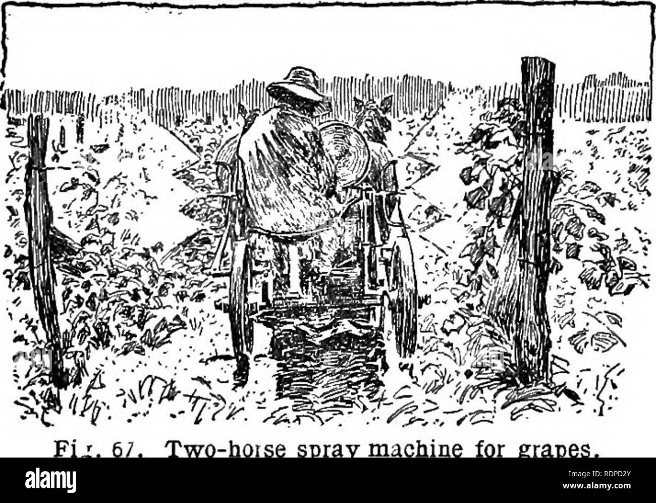 . Cyclopedia of farm crops, a popular survey of crops and crop-making ...