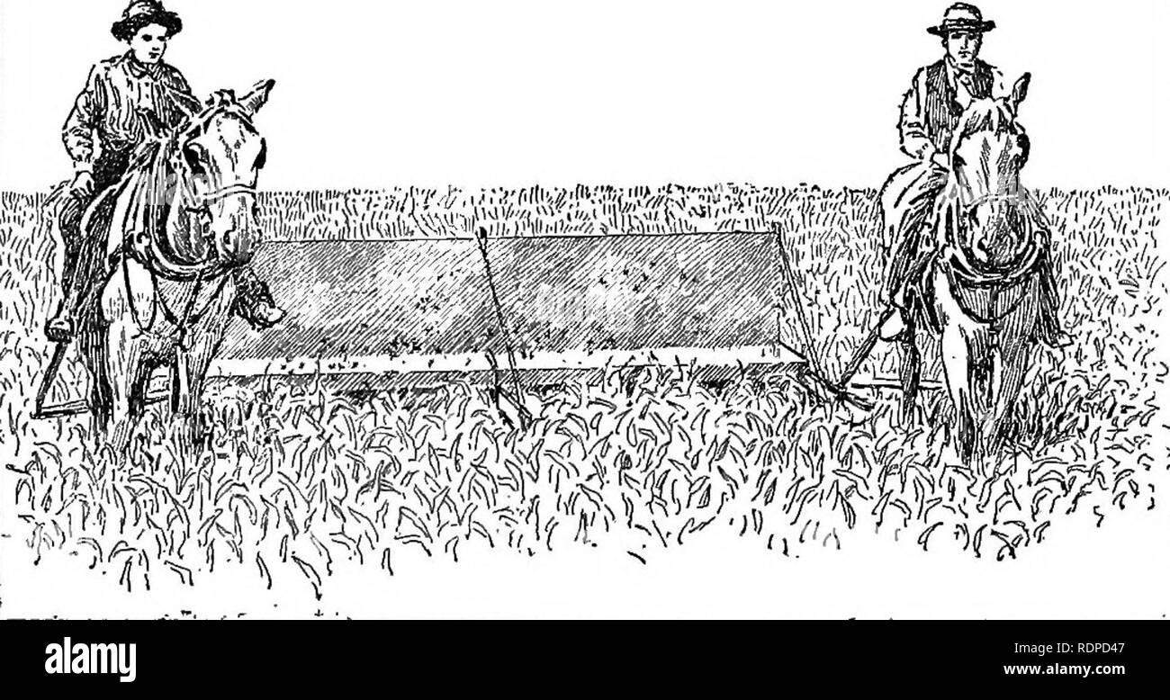 . Cyclopedia of farm crops, a popular survey of crops and crop-making ...