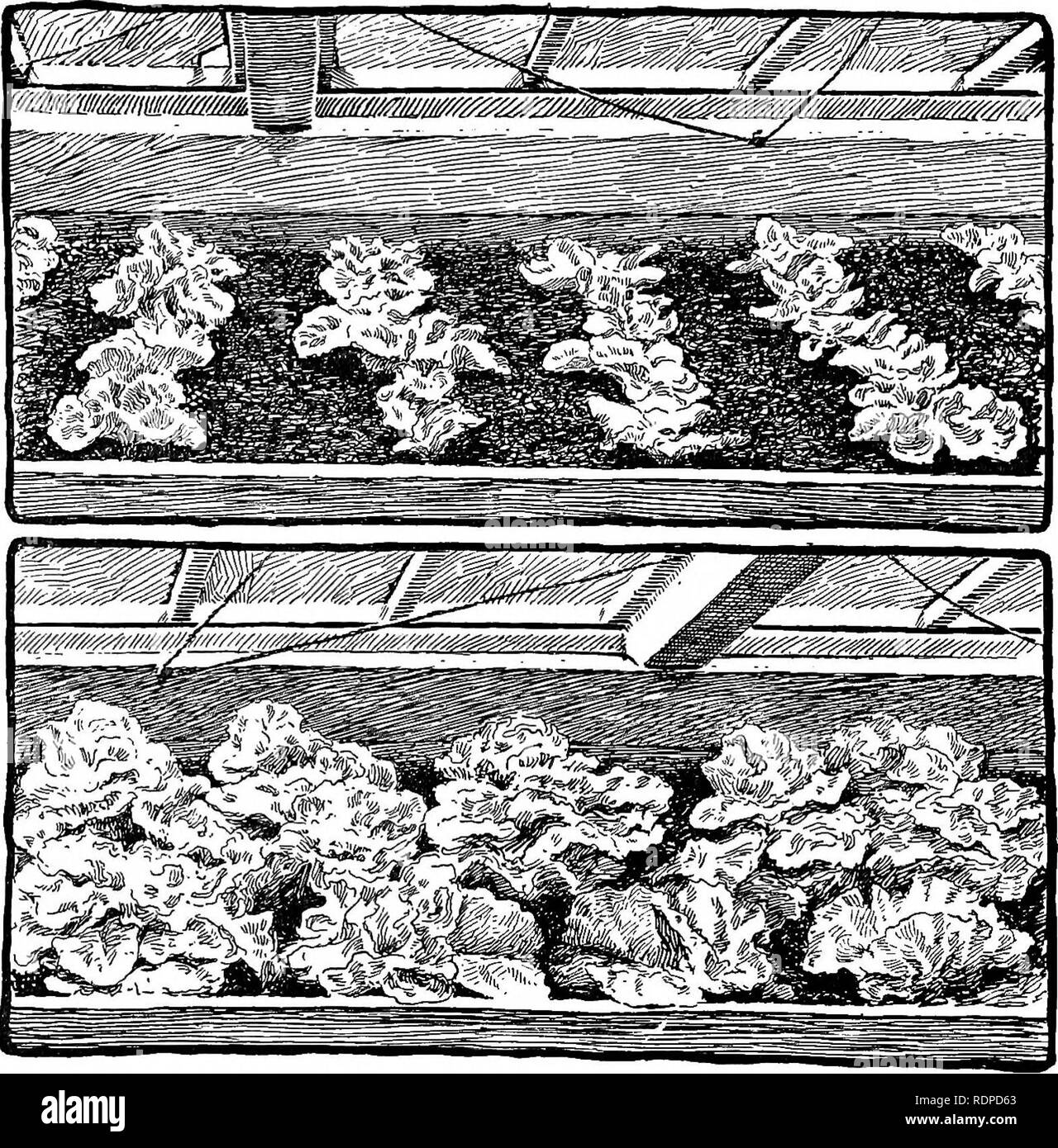 . Cyclopedia of farm crops, a popular survey of crops and crop-making ...