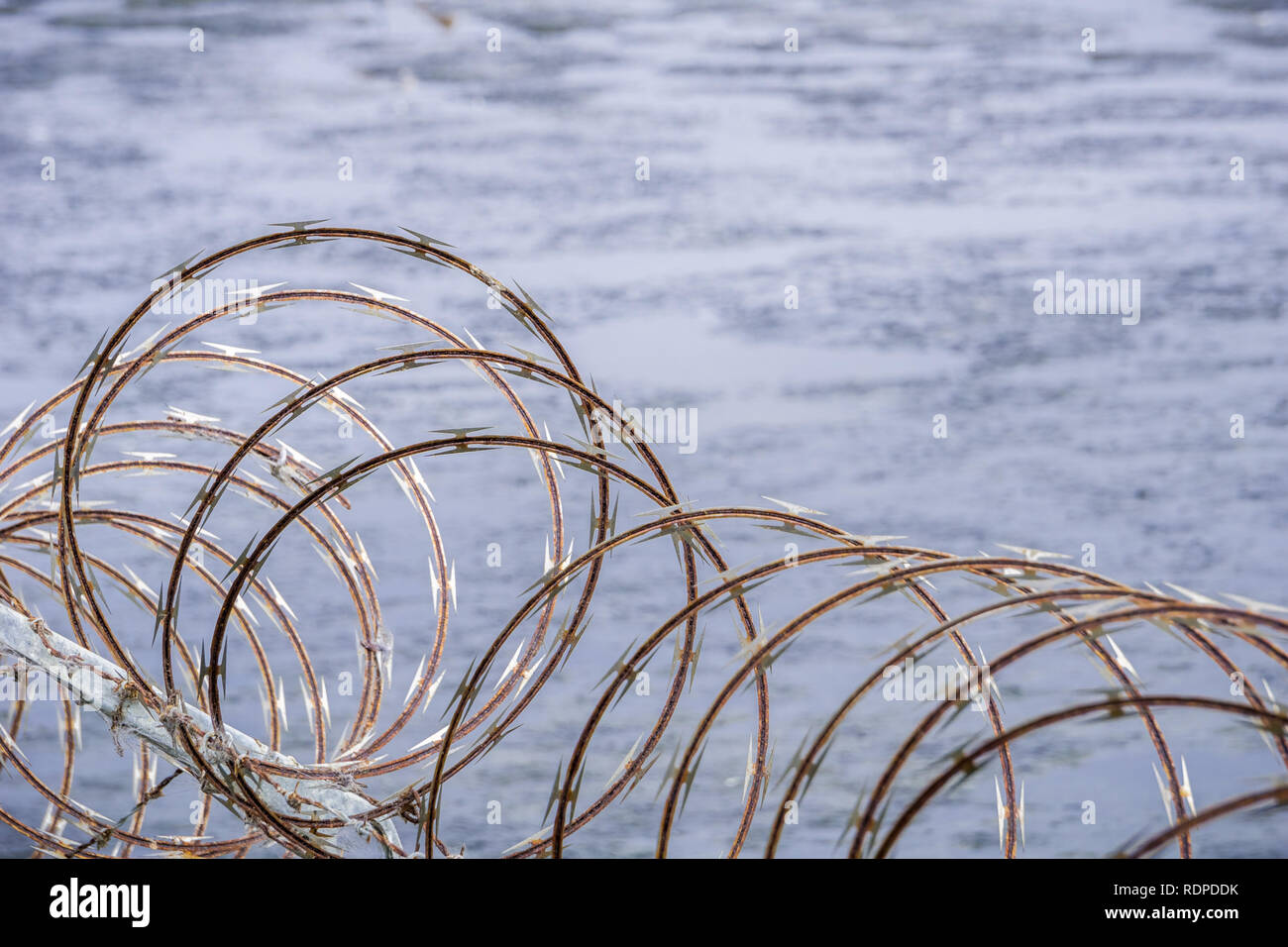 Razor barbed wire security fence, muddy marsh background Stock Photo ...