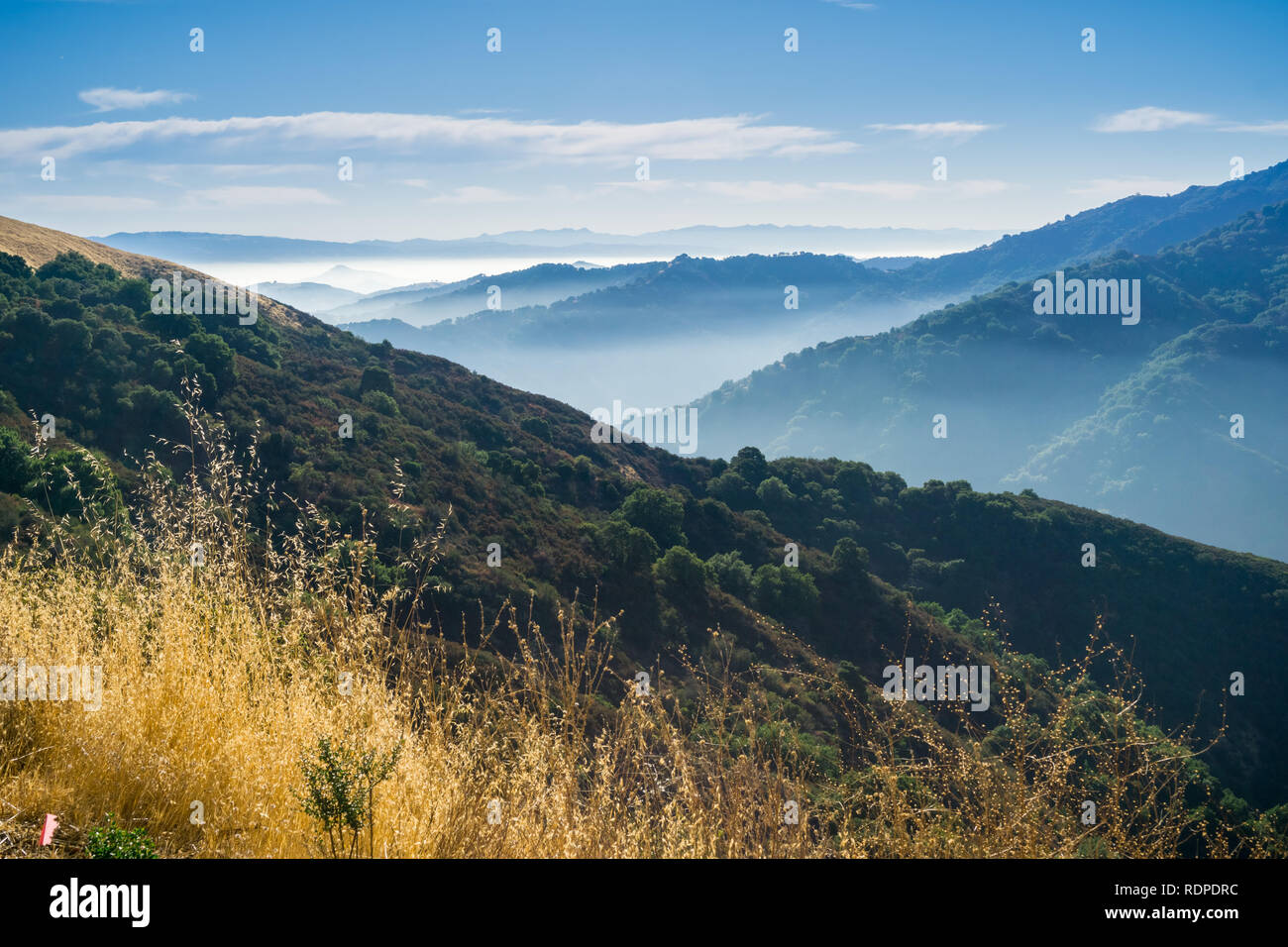 Morning view of the valley from the road to Mt Umunhum summit, Sierra ...