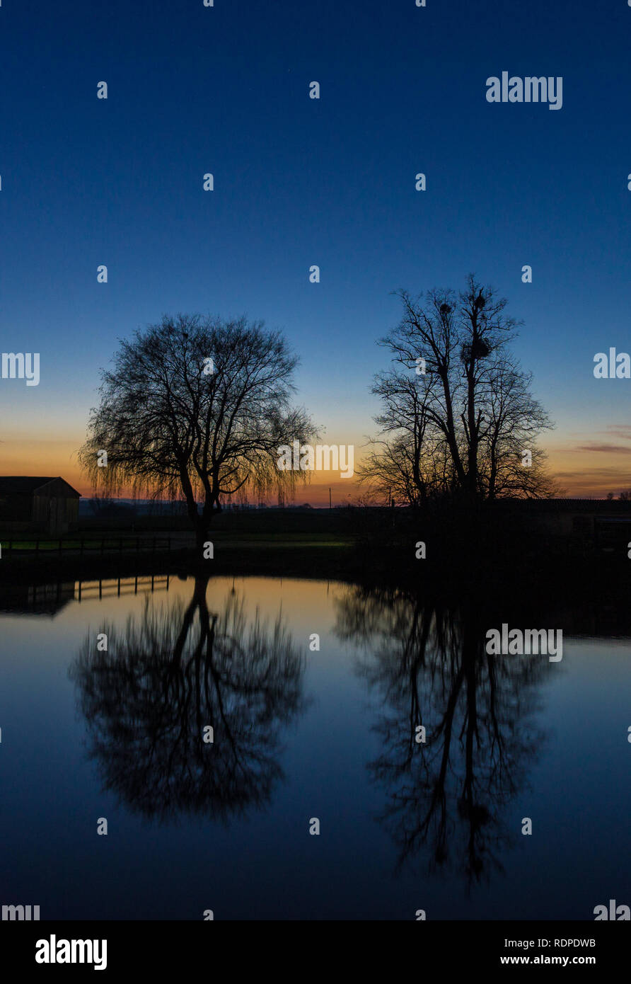 reflection of trees in a pond during sunset Stock Photo - Alamy