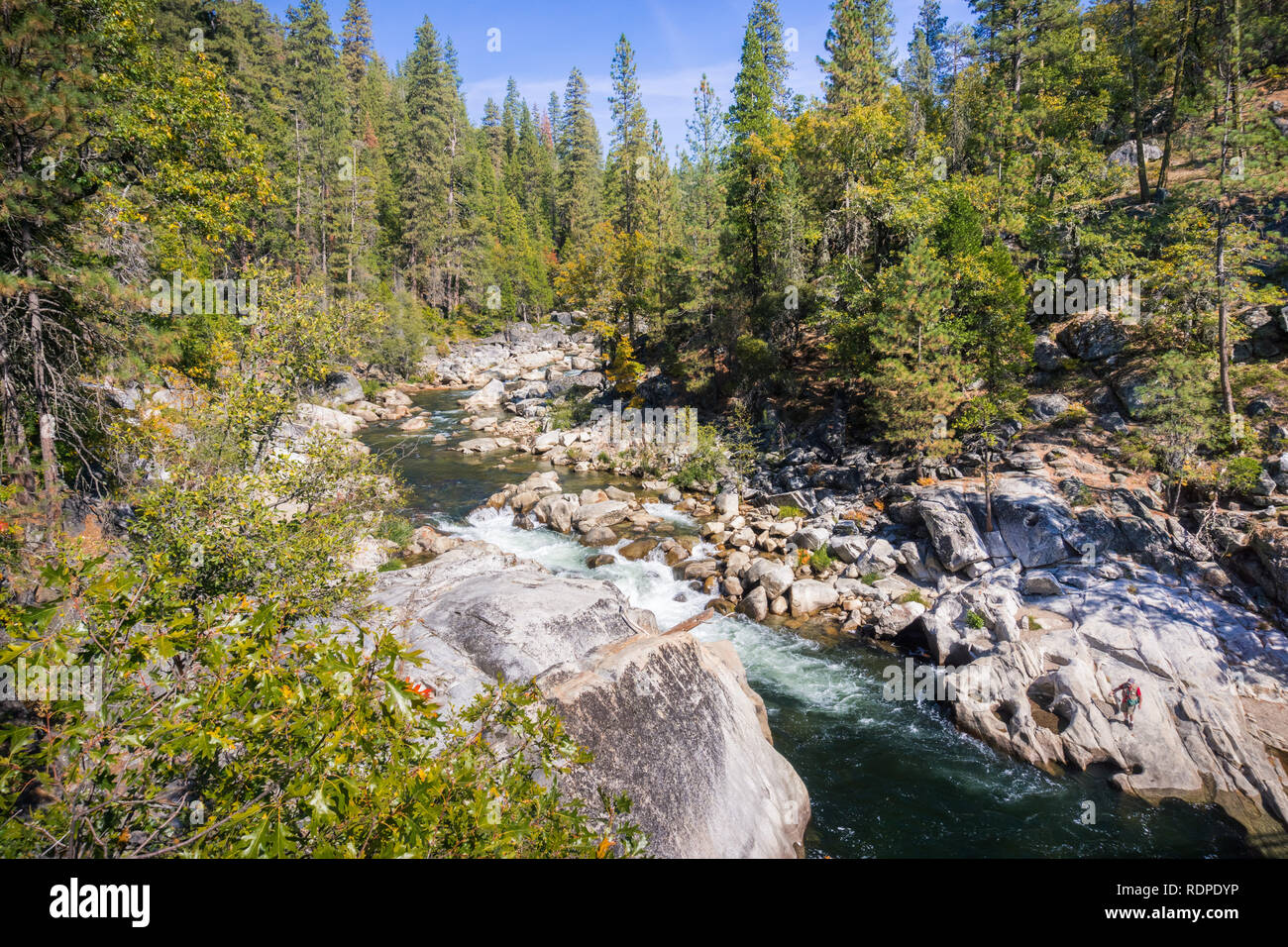Calaveras big trees hi-res stock photography and images - Alamy