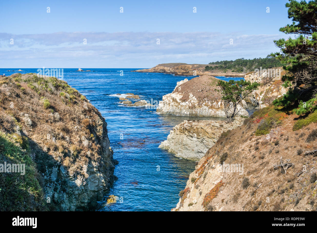 Narrow cove in Point Lobos State Natural Reserve, Carmel-by-the-Sea ...