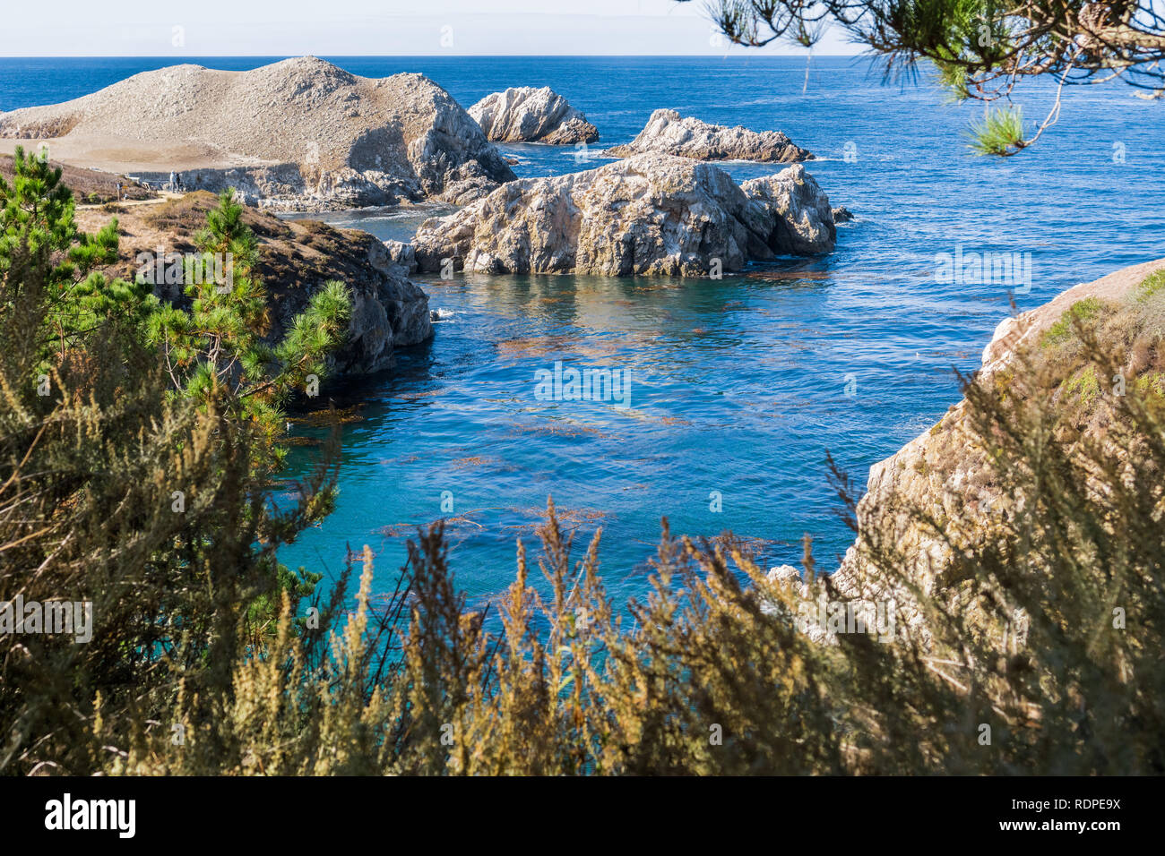 Lobos island birds hi-res stock photography and images - Alamy