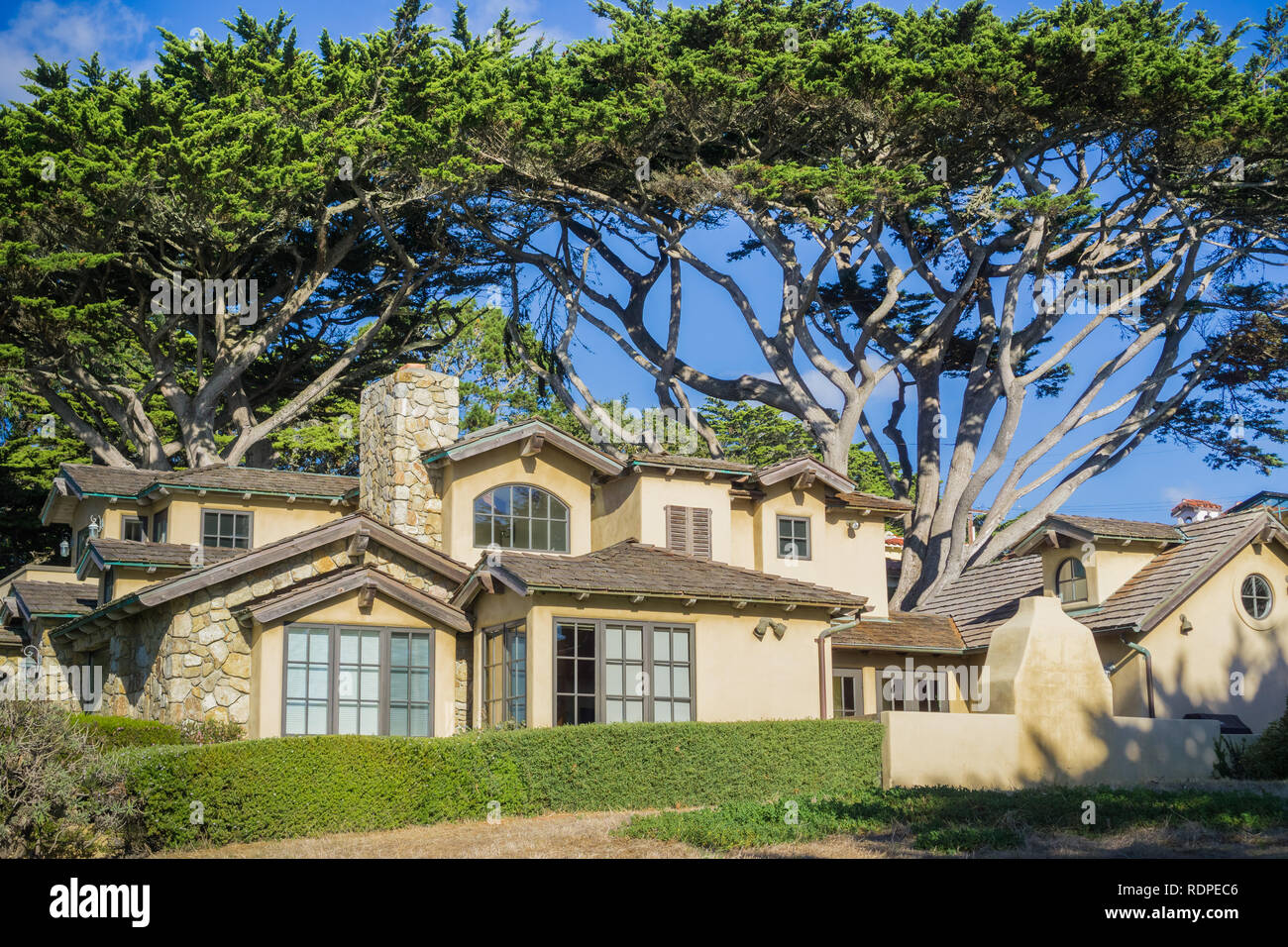 Street view of a house surrounded by large cypress trees in Carmel-by ...